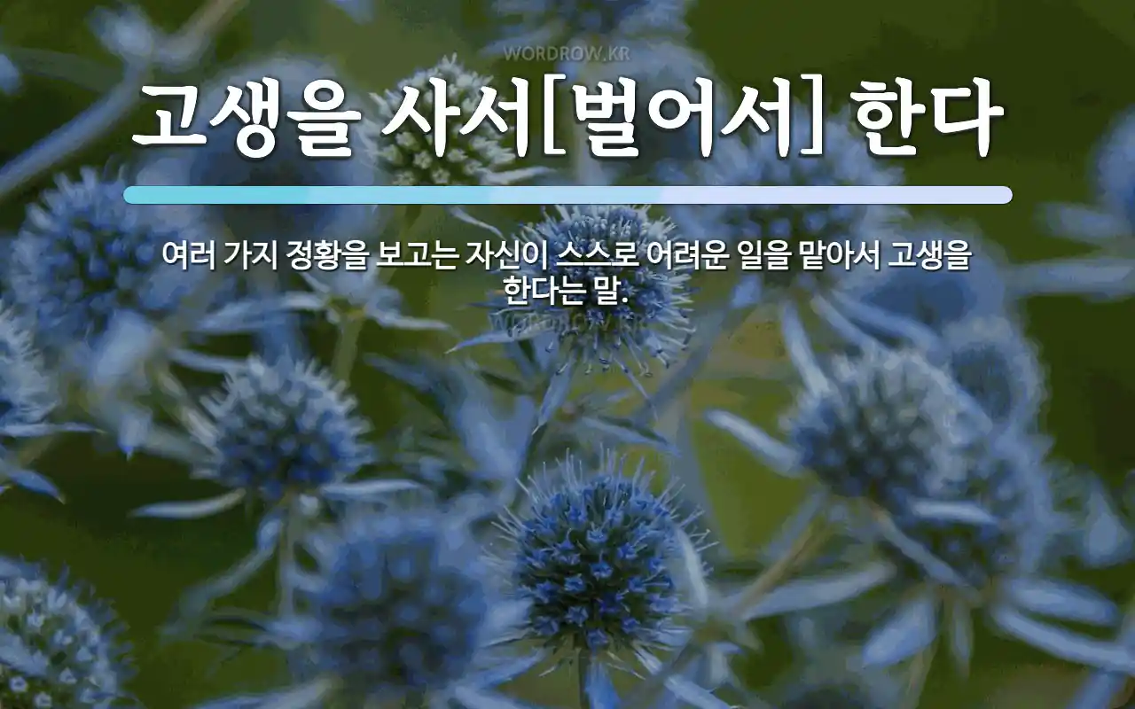 고생을 사서벌어서 한다 뜻 여러 가지 정황을 보고는 자신이 스스로 어려운 일을 맡아서 고생을 한다는 말
